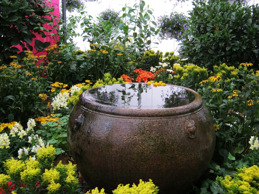 How to Turn Your Yard Into a Calming, Sustainable Oasis