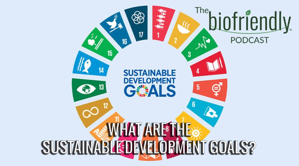 What Are The Sustainable Development Goals?