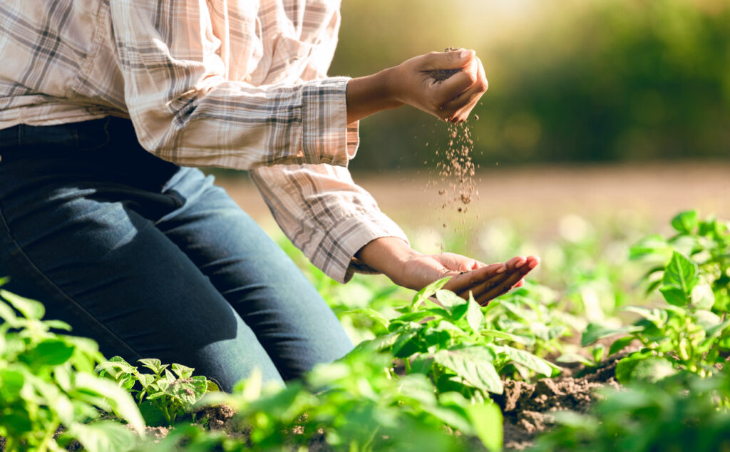 The Tiny Transformer: Bugs That Convert Organic Waste into Sustainable ...